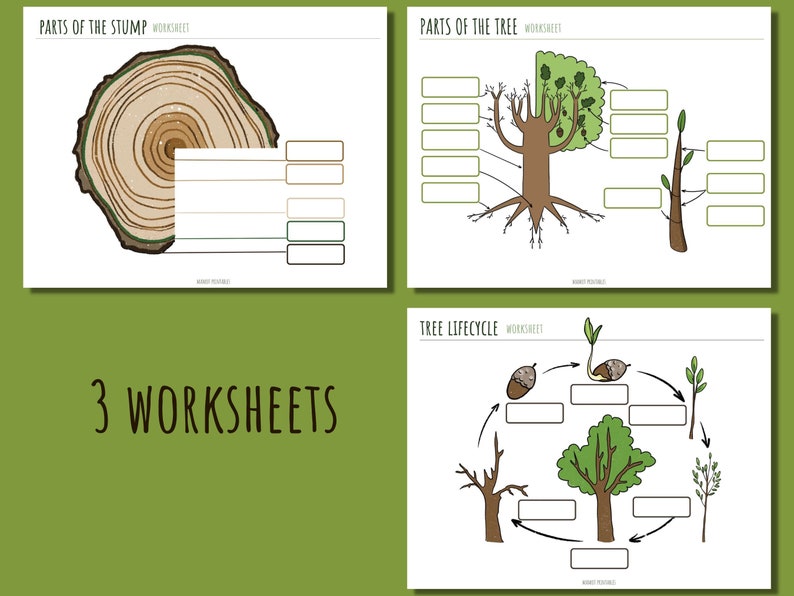 Printable Tree Study Bundle: Homeschool Nature Unit (PDF) - Etsy