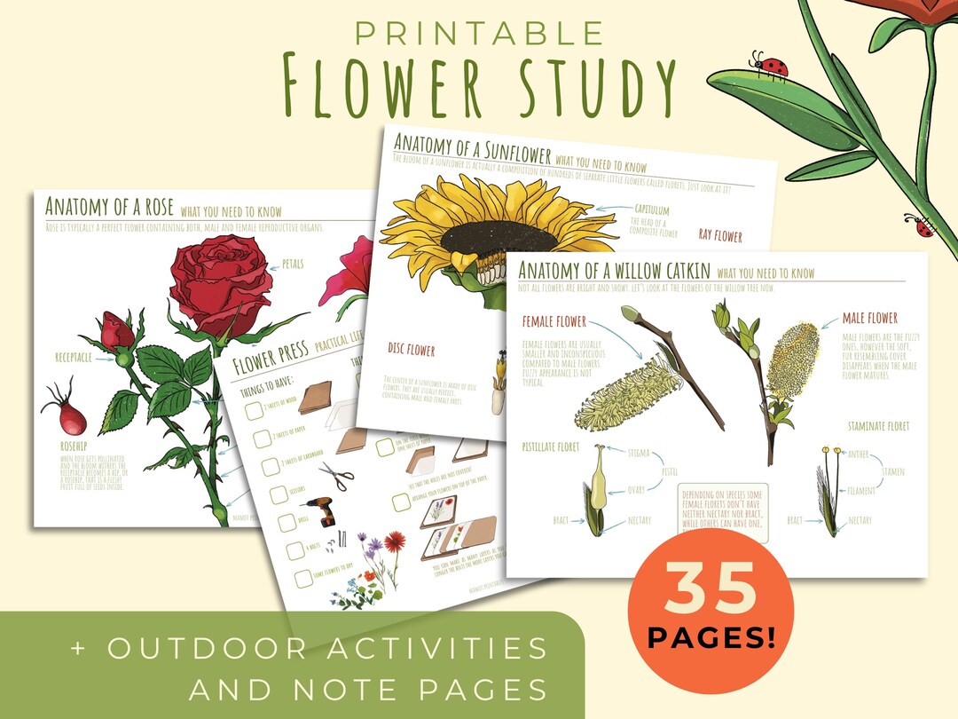 Printable Flower Unit Study: Homeschool Learning Activity (35 PDF Pages ...