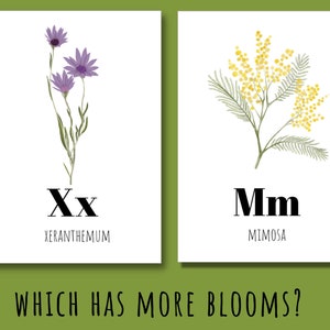 Printable Preschool Alphabet Cards, Flower Cards, Homeschool Learning ...