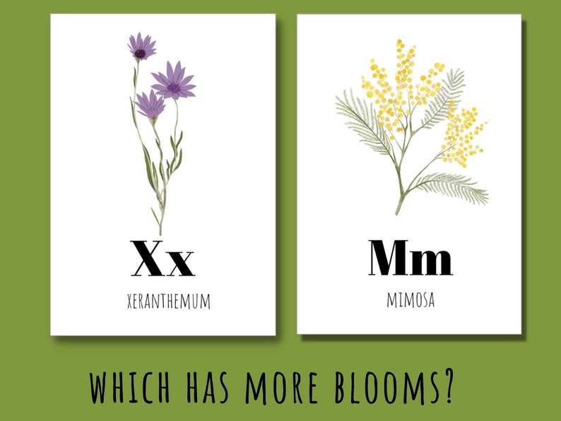 Printable Preschool Alphabet Cards, Flower Cards, Homeschool Learning ...