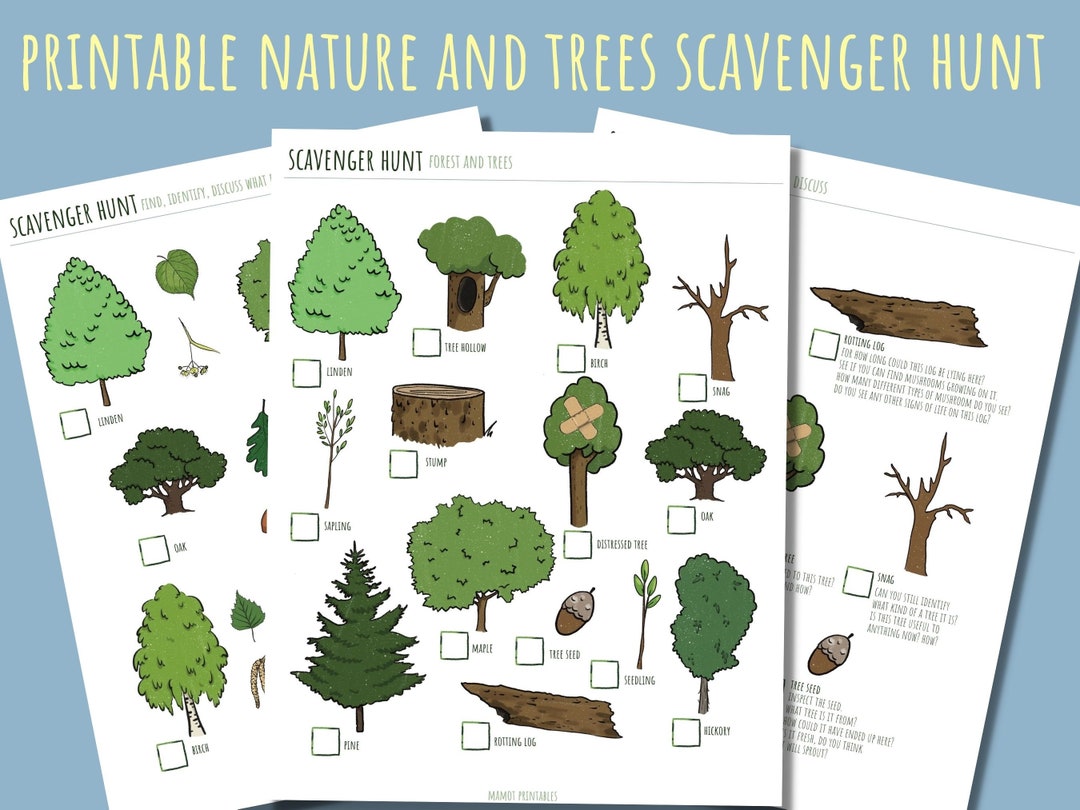 Printable Nature Scavenger Hunt Outdoor Play Homeschool Nature ...