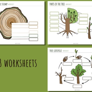 Printable Homeschool Nature Unit Study, Tree Study and Worksheets for ...