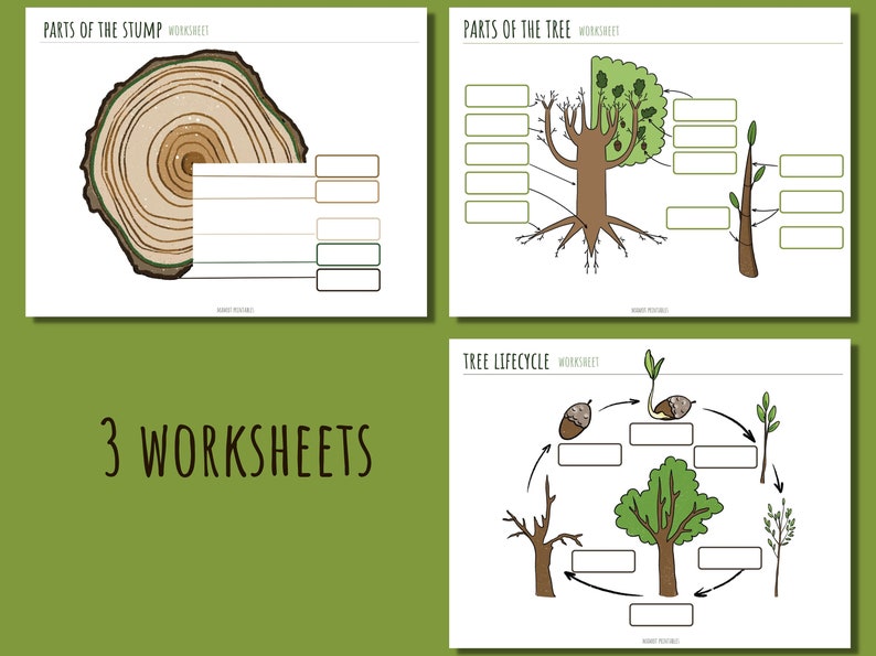 Printable Homeschool Nature Unit Study, Tree Study and Worksheets for ...