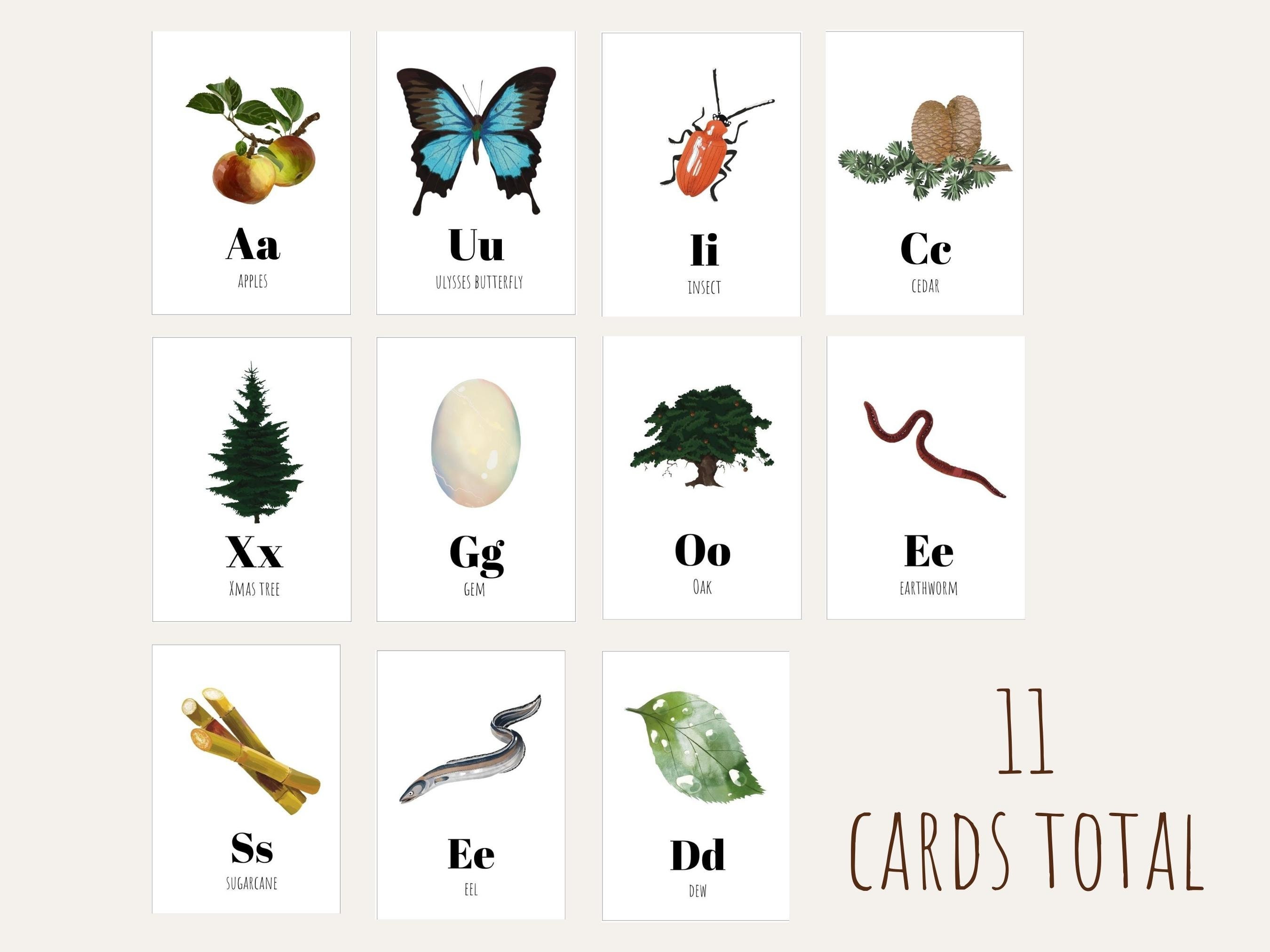 Printable Alphabet Flashcards for a Toddler Learning to Read ...