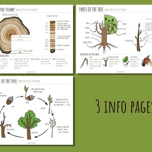 Printable Homeschool Nature Unit Study, Tree Study and Worksheets for ...