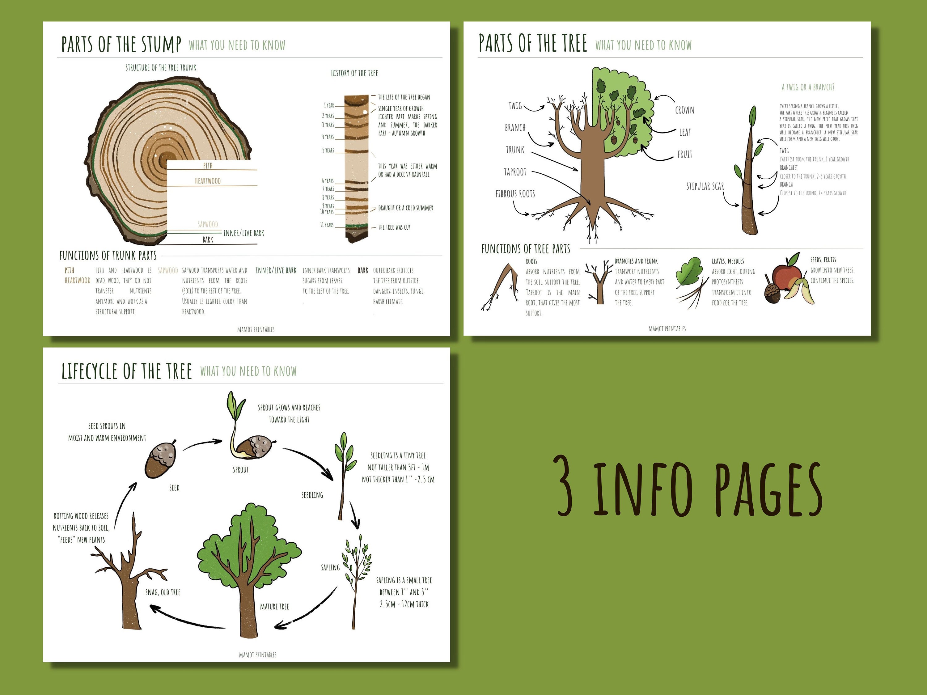 Printable Homeschool Nature Unit Study, Tree Study and Worksheets for ...