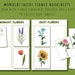 Printable Seed Unit Study, Homeschool Nature Bundle, Montessori Nature ...