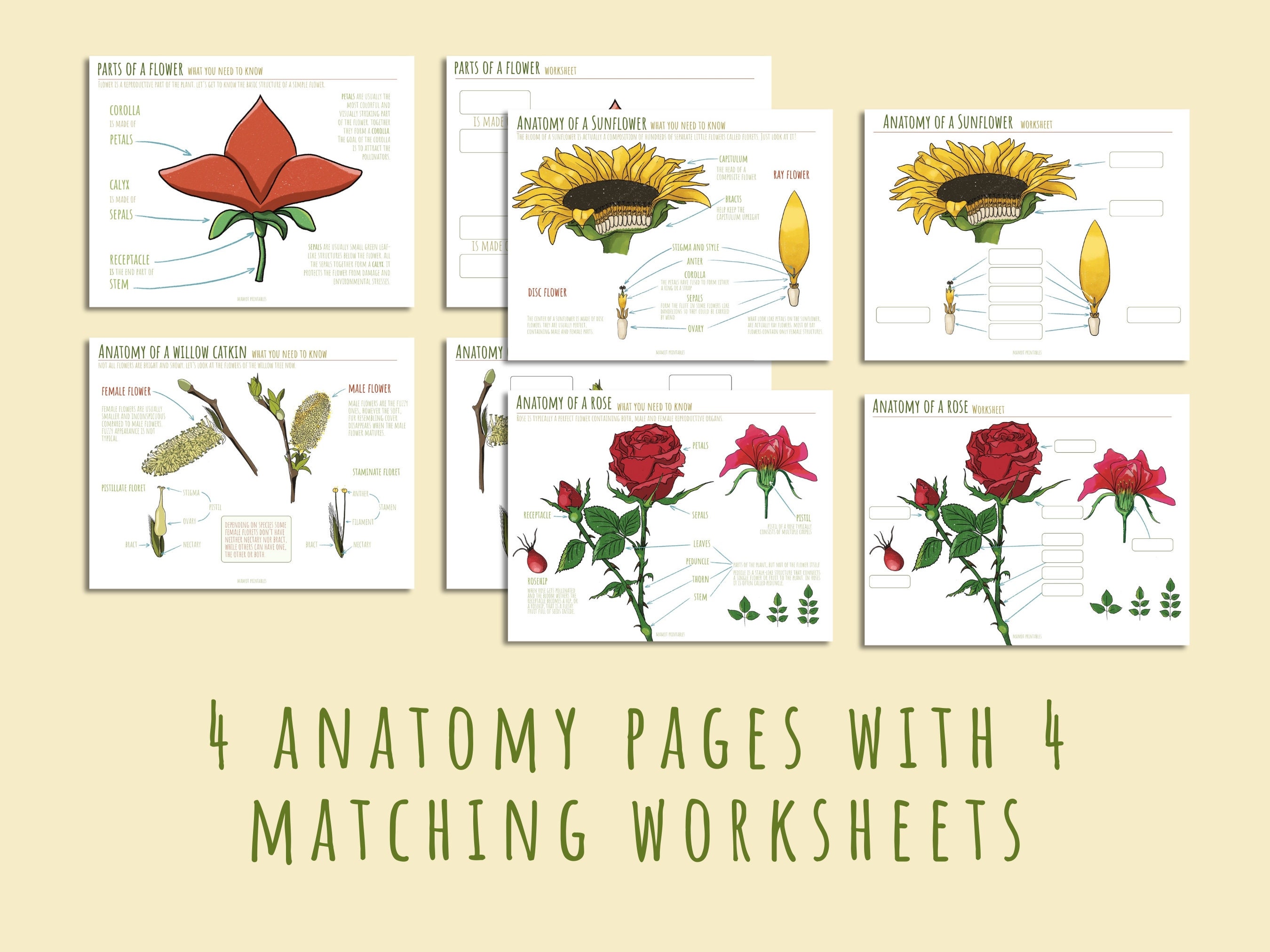 Printable Flower Unit Study: Homeschool Learning Activity (35 PDF Pages ...