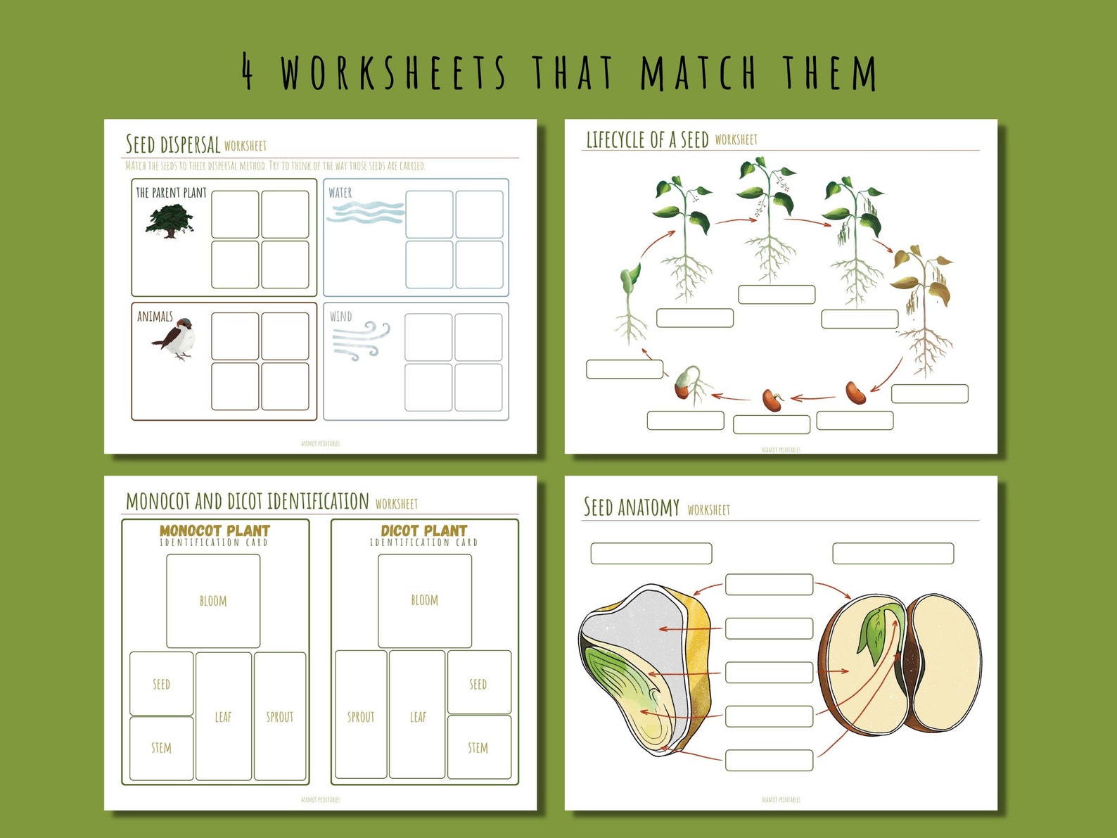 Printable Seed Unit Study, Homeschool Nature Bundle, Montessori Nature ...