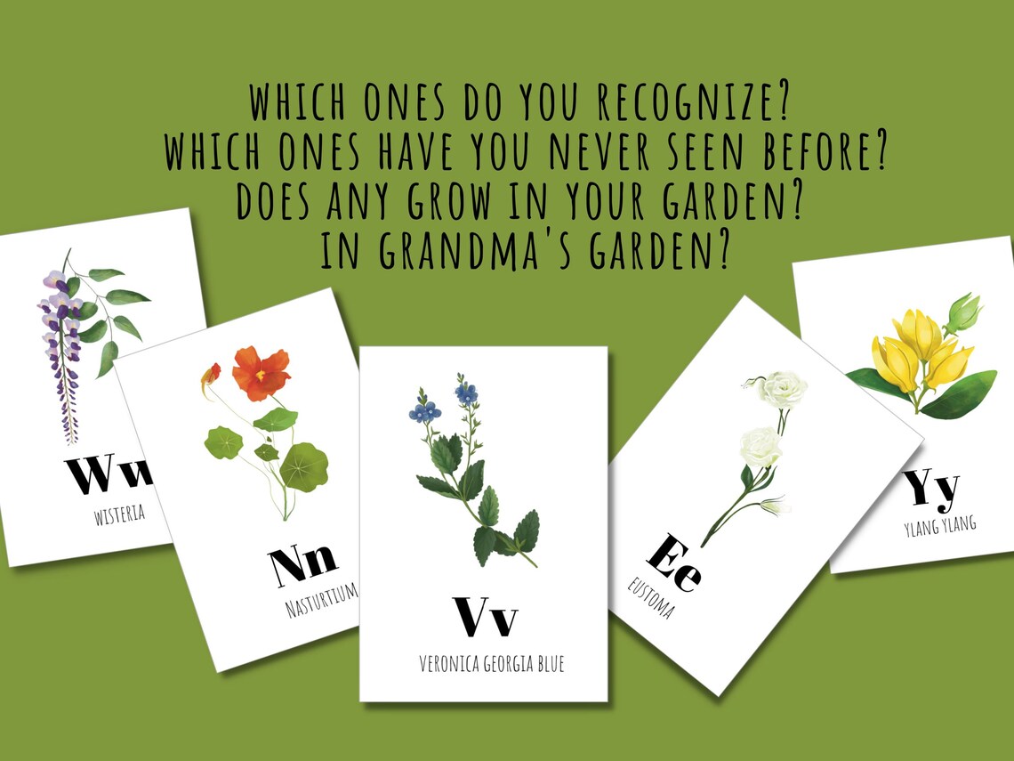Printable Preschool Alphabet Cards, Flower Cards, Homeschool Learning ...