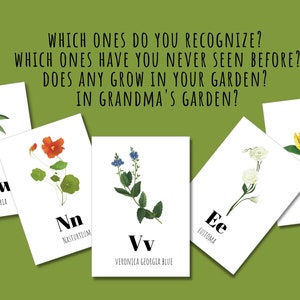 Printable Preschool Alphabet Cards, Flower Cards, Homeschool Learning ...