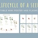 Printable Seed Unit Study, Homeschool Nature Bundle, Montessori Nature ...