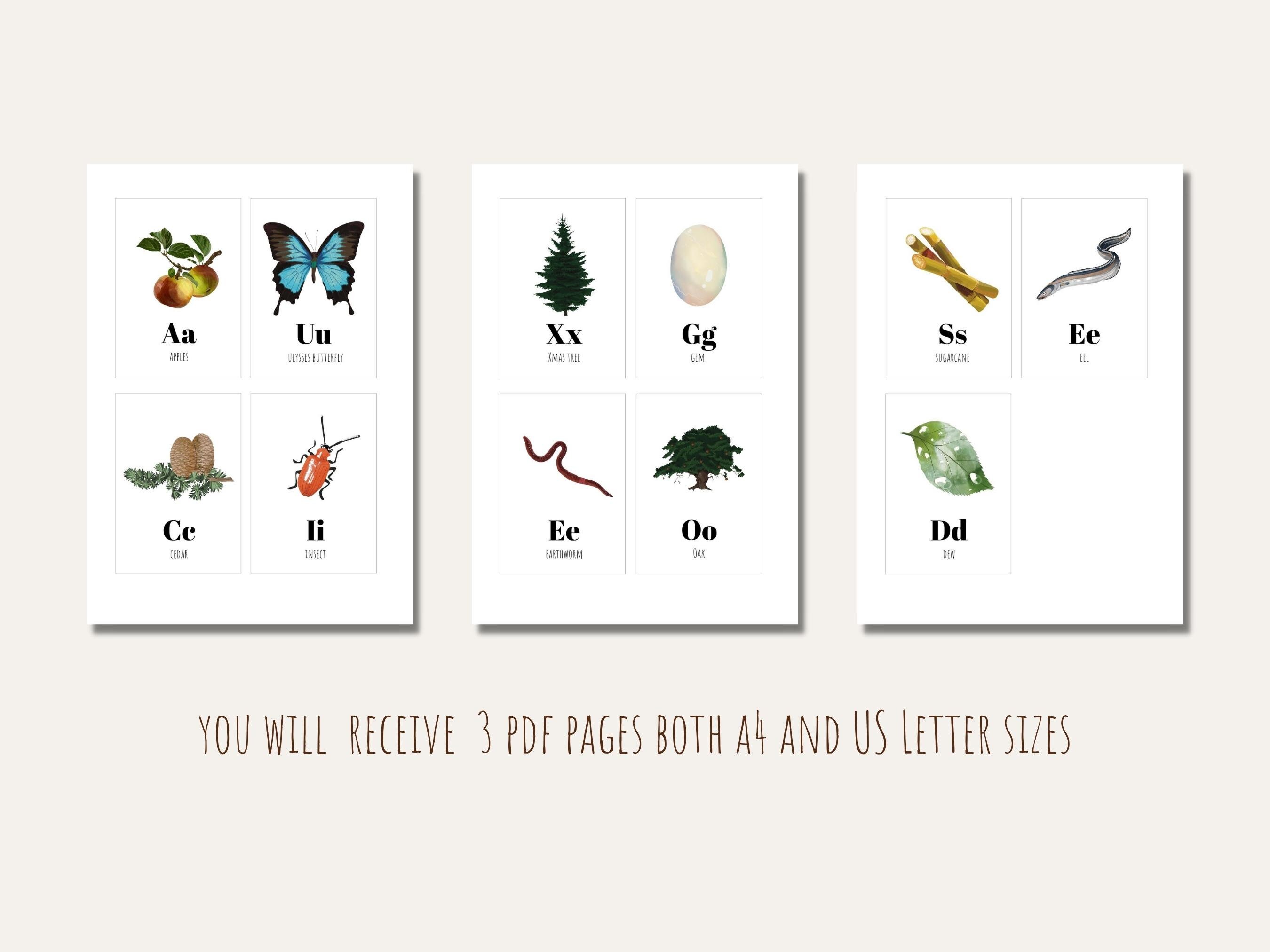 Printable Alphabet Flashcards for a Toddler Learning to Read ...