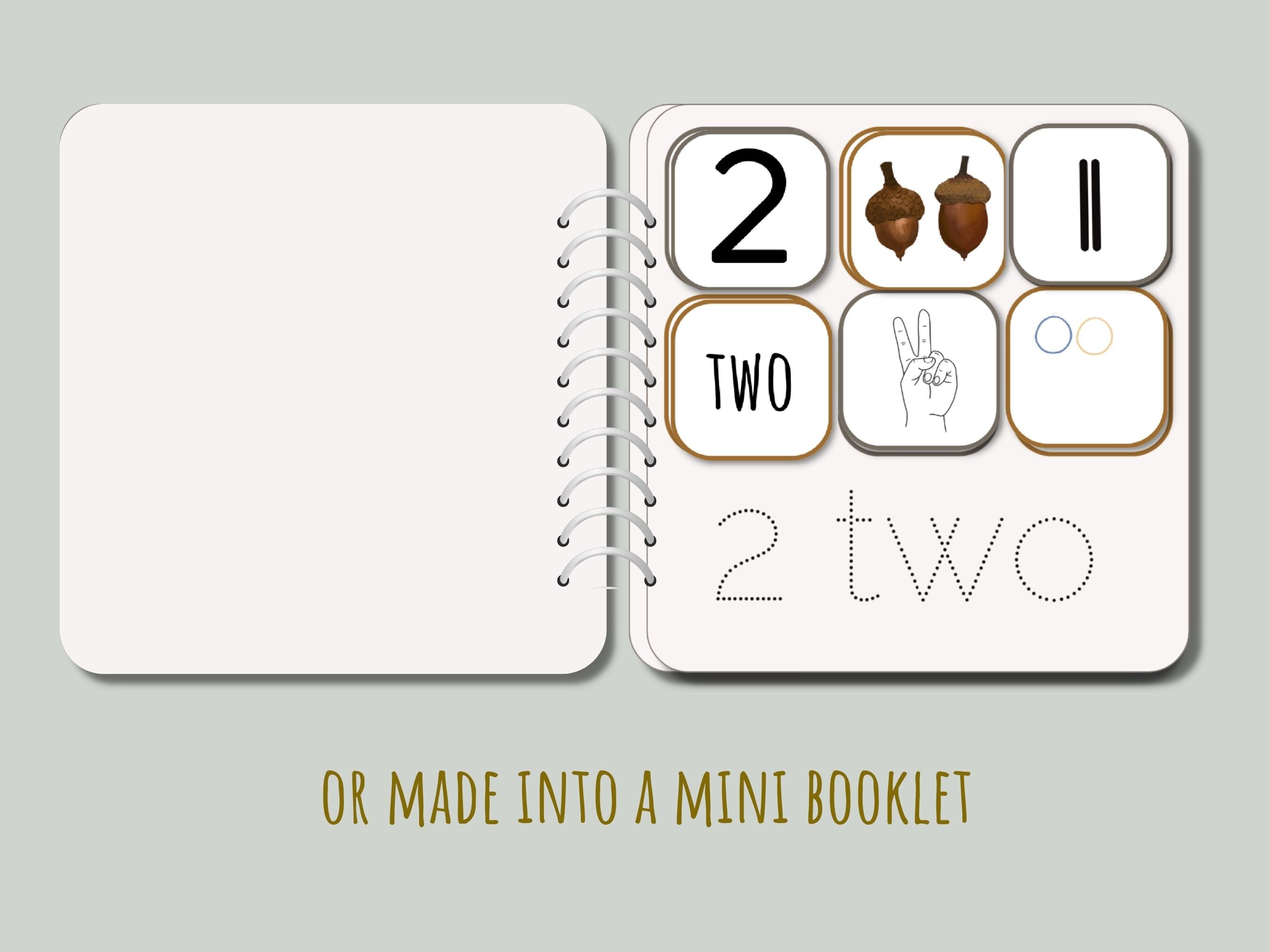 Printable Preschool Activity Number Match Cards, Math for Kids ...