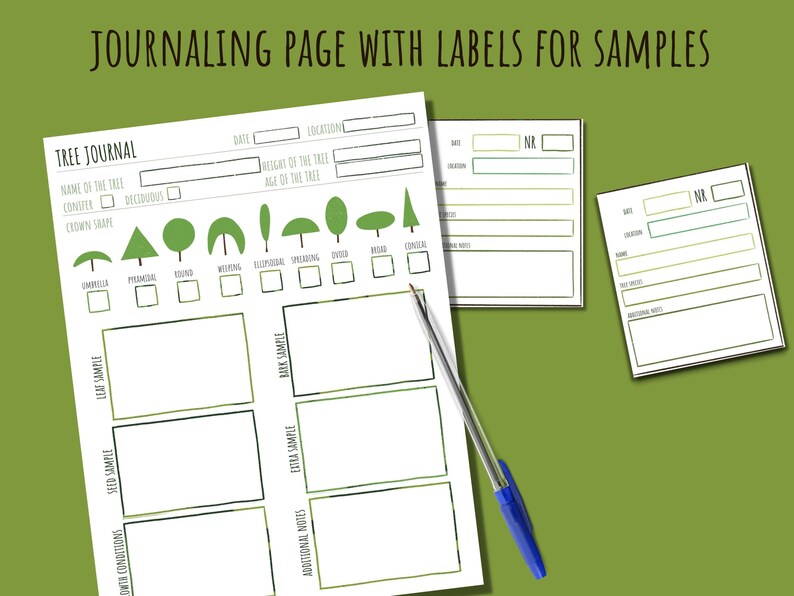 Printable Tree Study Bundle: Homeschool Nature Unit (PDF) - Etsy