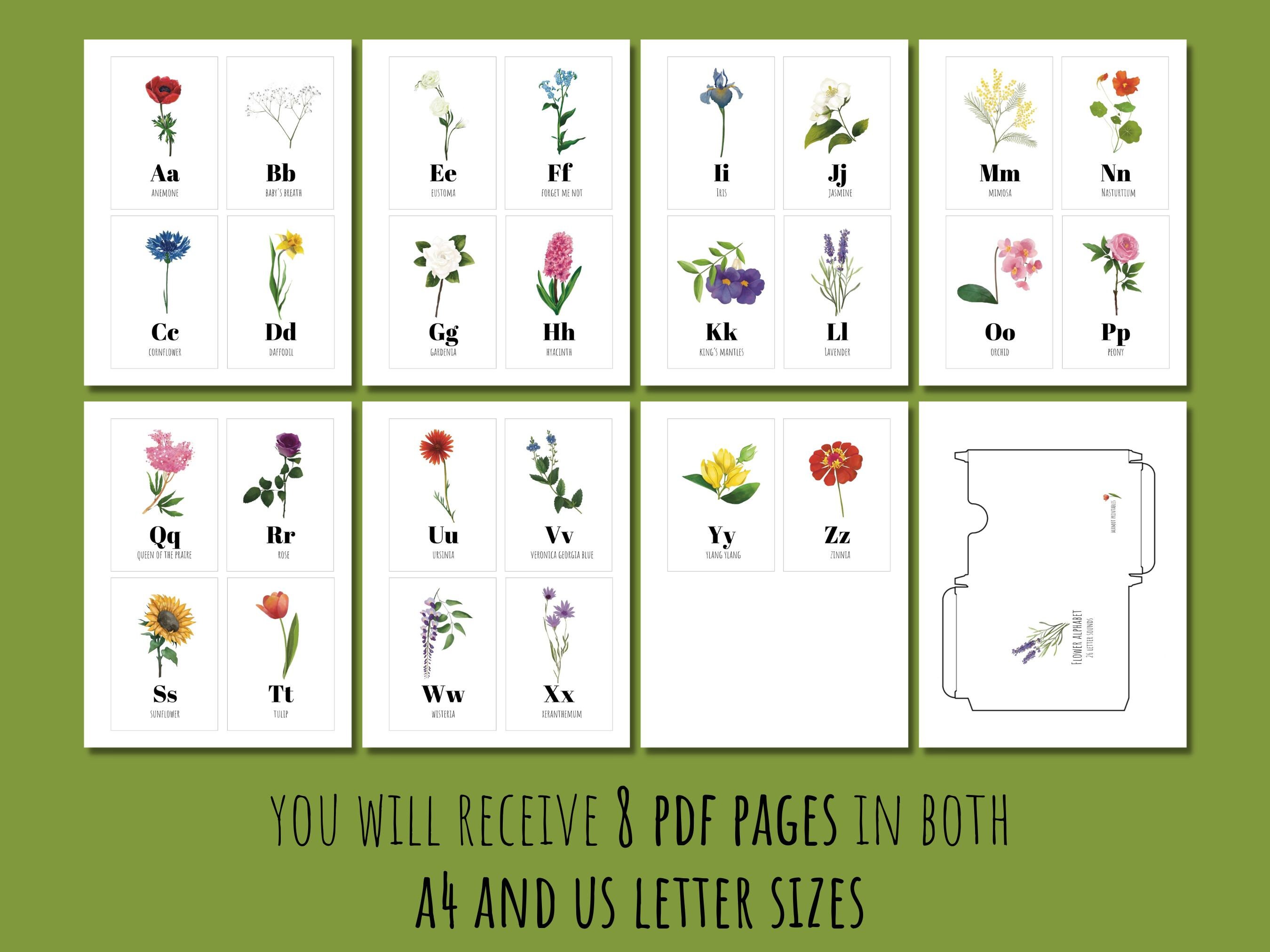 Printable Preschool Alphabet Cards, Flower Cards, Homeschool Learning ...