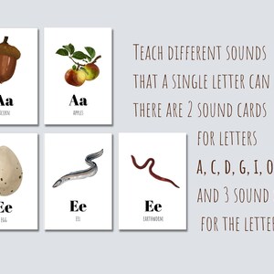 Printable Alphabet Flashcards for Kids, Homeschool Curriculum ...