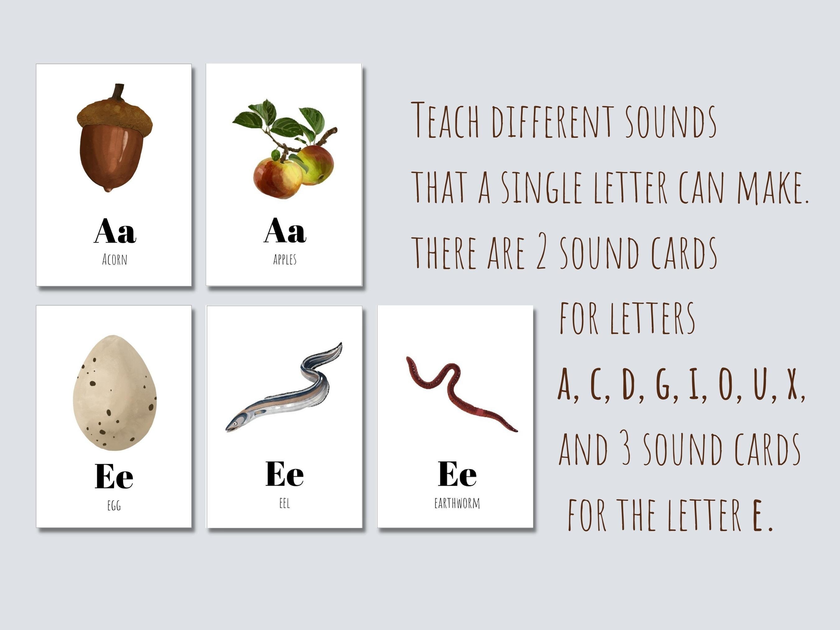 Printable Alphabet Flashcards for Kids, Homeschool Curriculum ...
