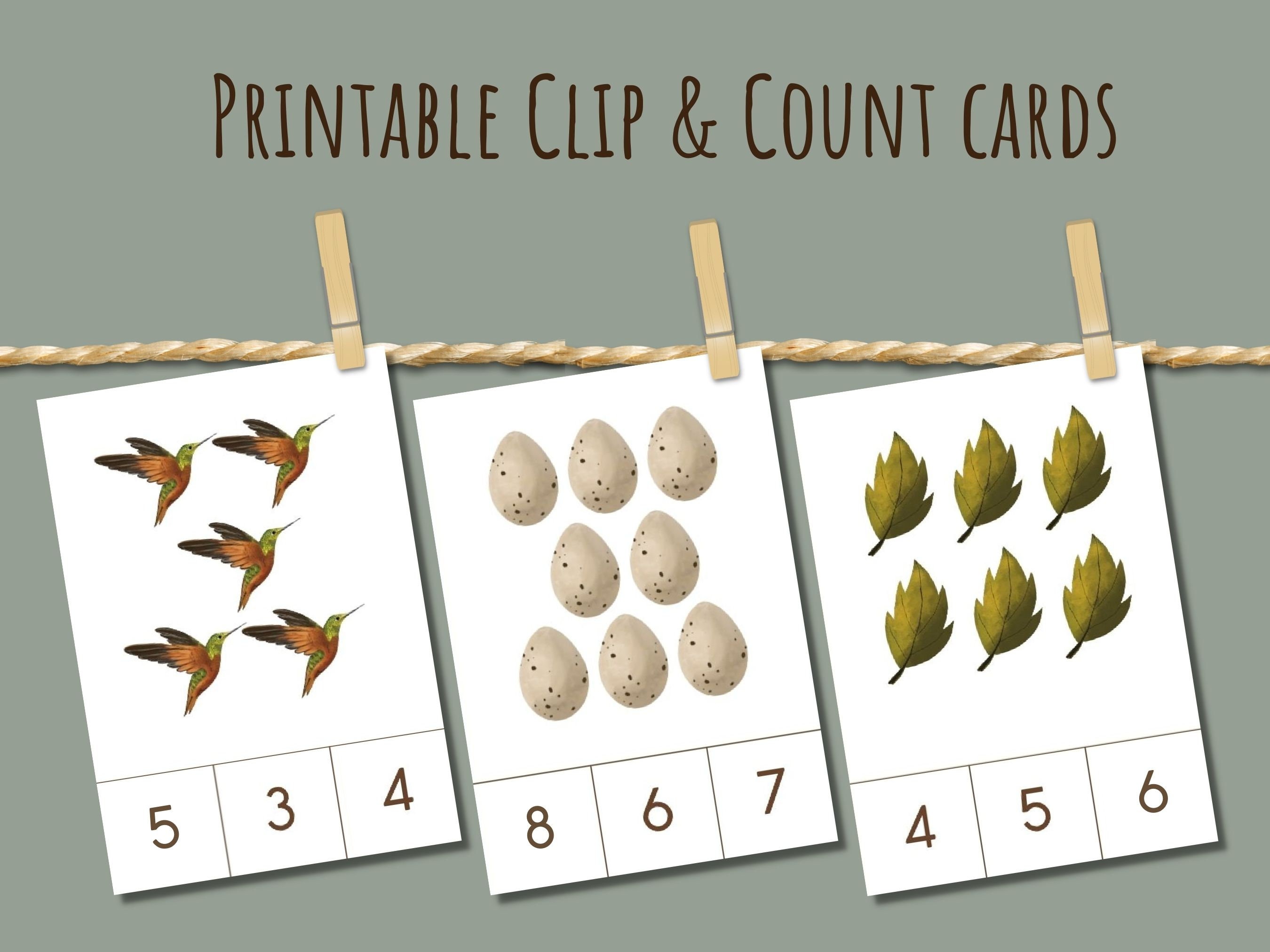 Printable Count and Clip Cards With Realistic Illustrations for a ...