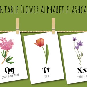 Printable Preschool Alphabet Cards, Flower Cards, Homeschool Learning ...