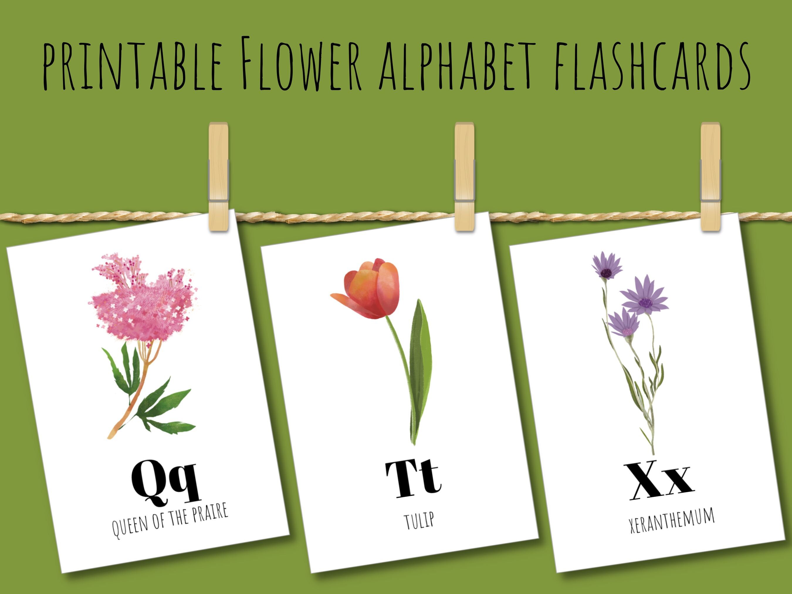 Printable Preschool Alphabet Cards, Flower Cards, Homeschool Learning ...