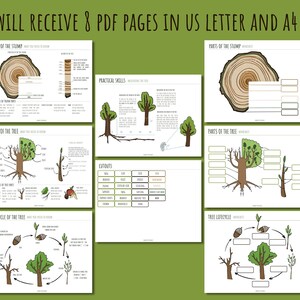 Printable Homeschool Nature Unit Study, Tree Study and Worksheets for ...