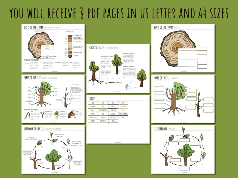 Printable Homeschool Nature Unit Study, Tree Study and Worksheets for ...