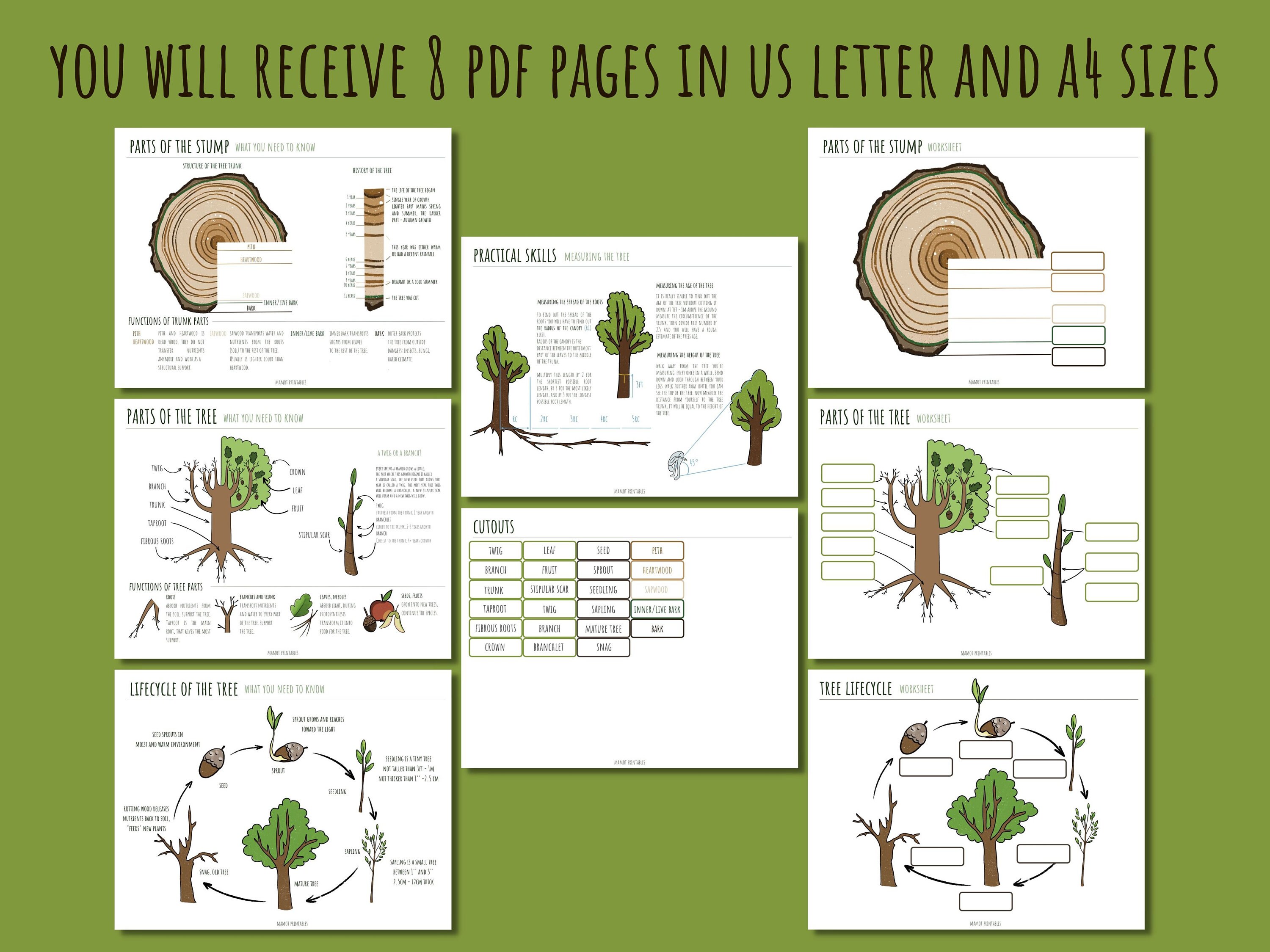 Printable Homeschool Nature Unit Study, Tree Study and Worksheets for ...
