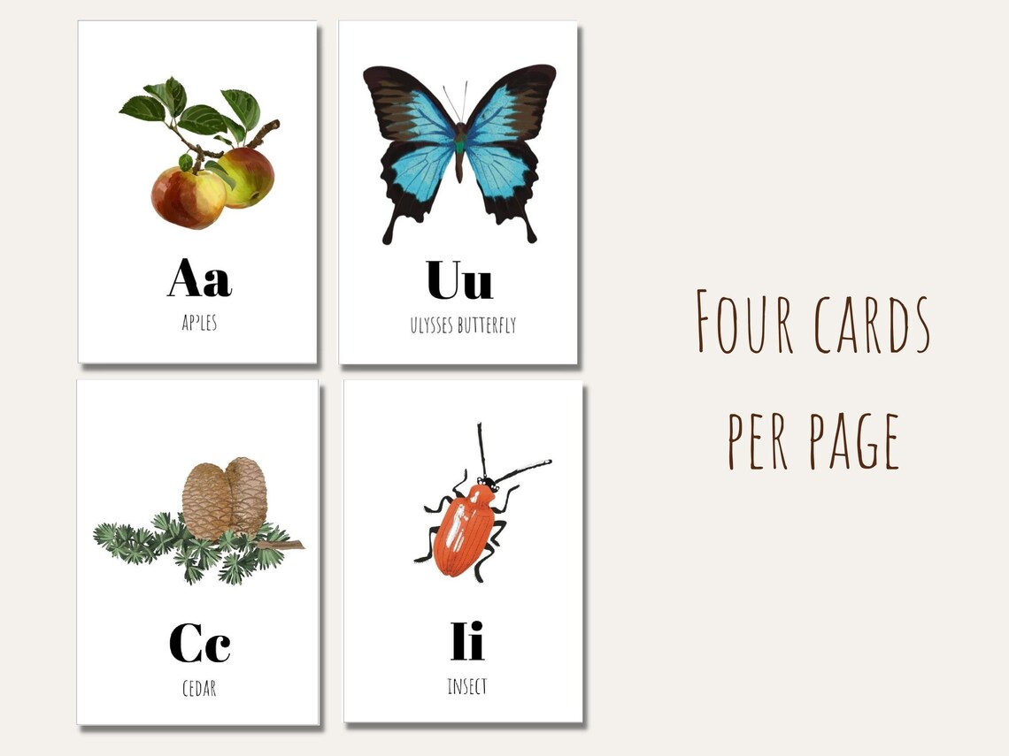 Printable Alphabet Flashcards for a Toddler Learning to Read ...