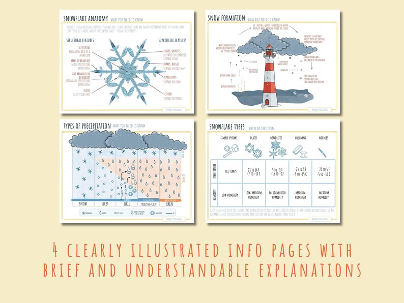 Winter Snow Unit Study: Preschool Printable (PDF) - Etsy