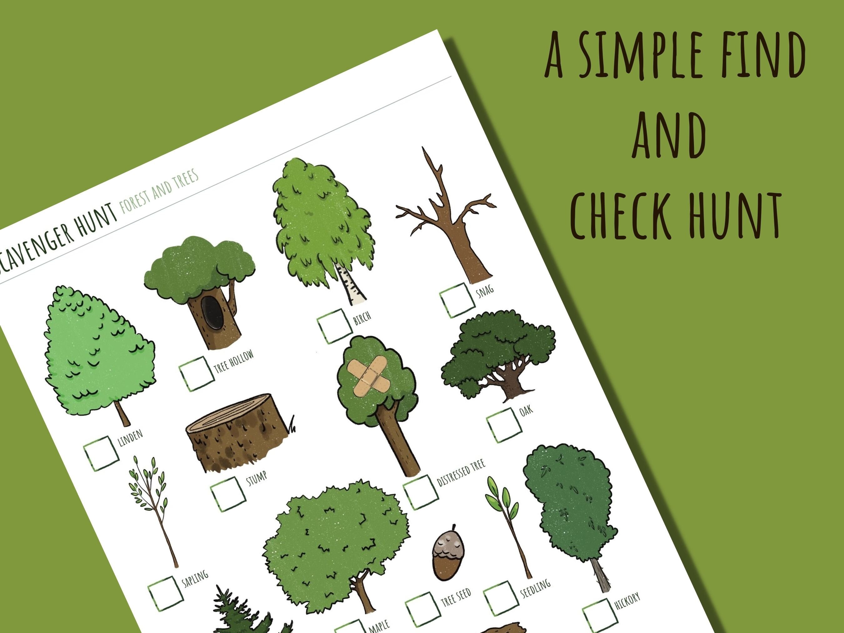 Printable Scavenger Hunt for Nature Walks Charlotte Mason Inspired ...
