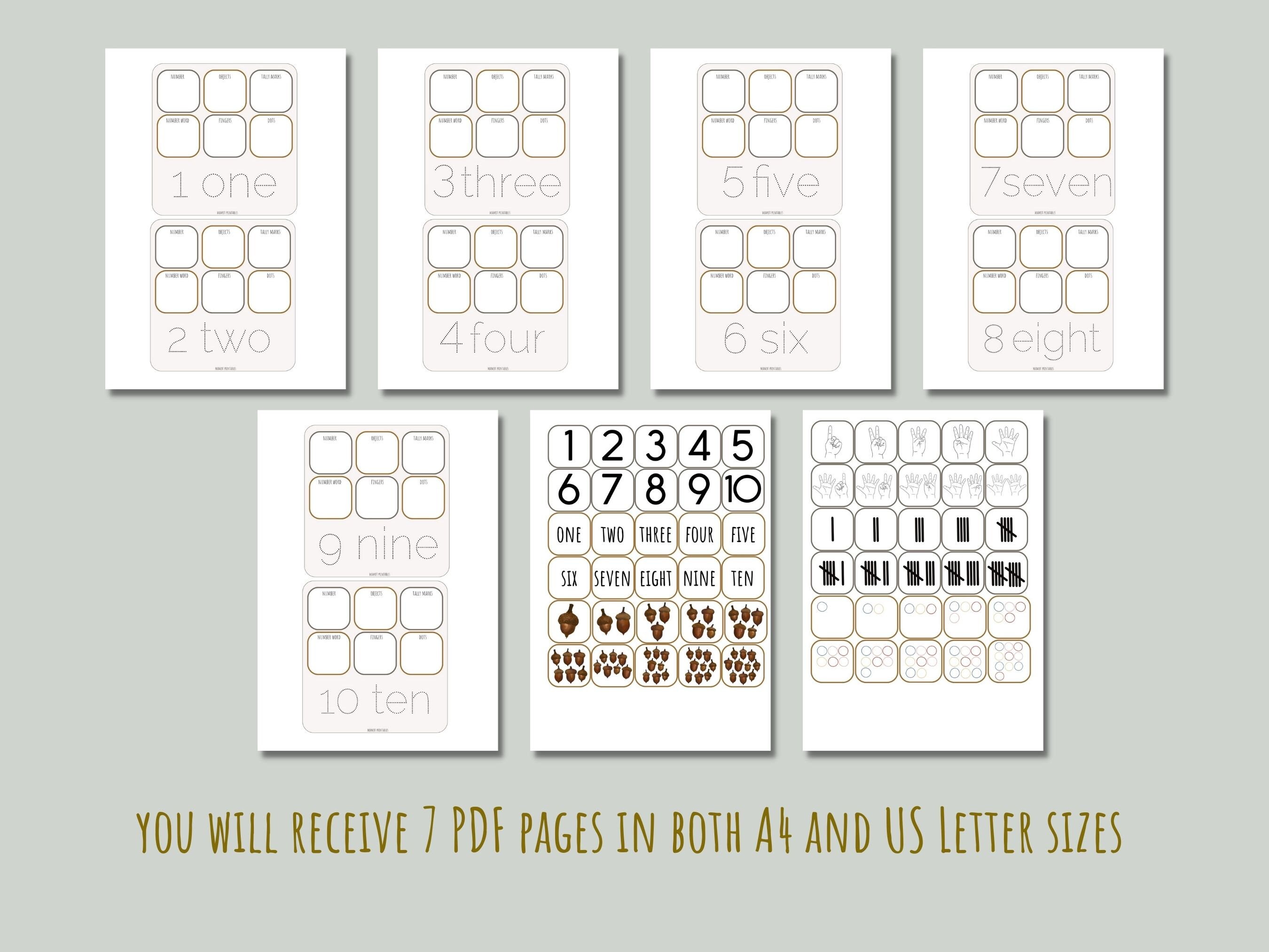 Printable Preschool Activity Number Match Cards, Math for Kids ...