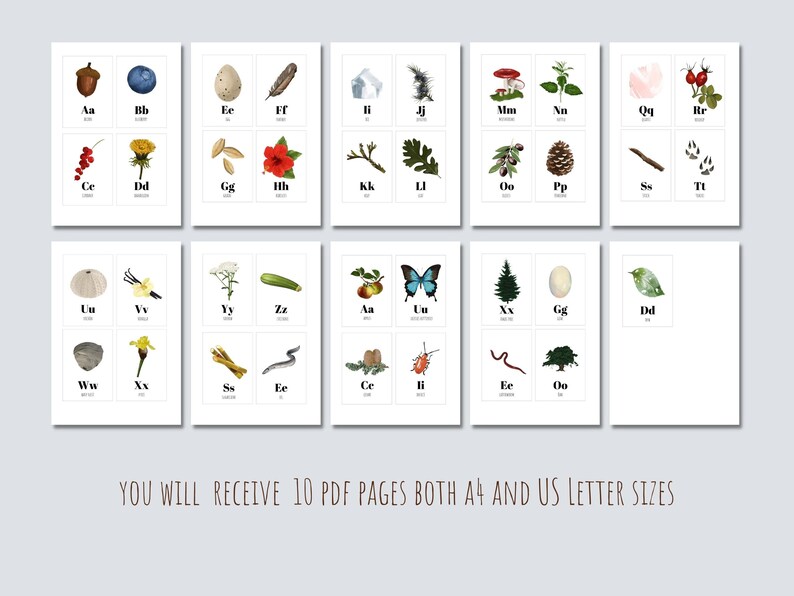 Printable Alphabet Flashcards for Kids, Homeschool Curriculum ...