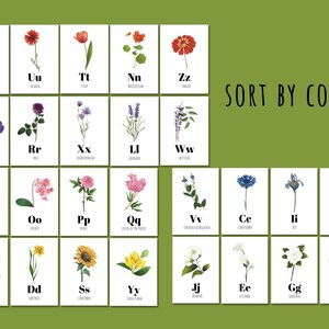 Printable Preschool Alphabet Cards, Flower Cards, Homeschool Learning ...