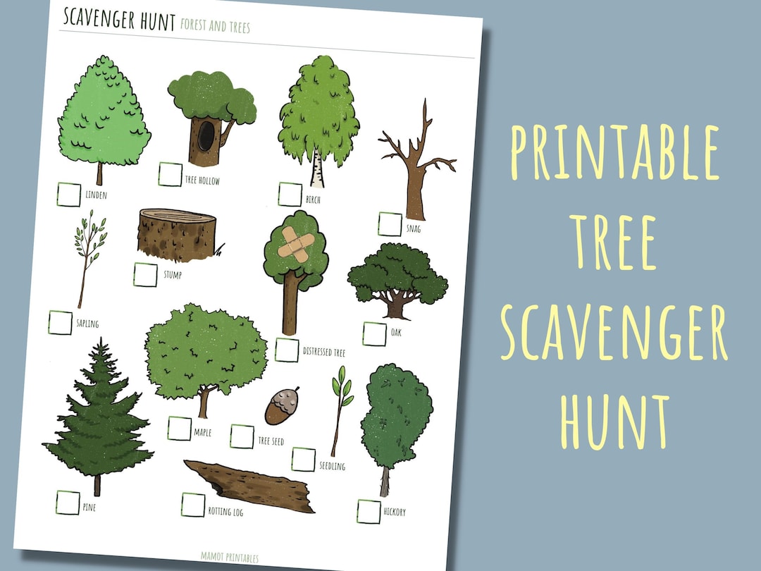 Printable Tree Scavenger Hunt Nature Activities for Toddler Learning ...