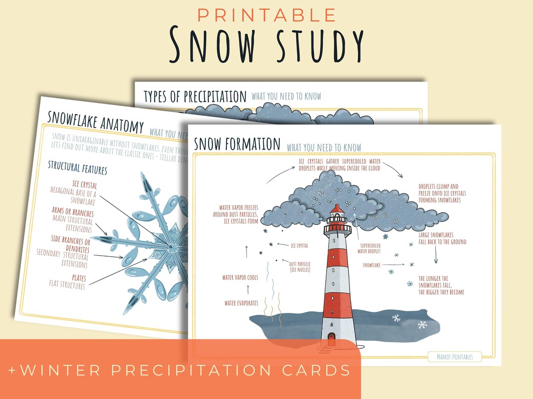 Winter Unit Study Preschool Printable Snow Unit Study Charlotte Mason ...
