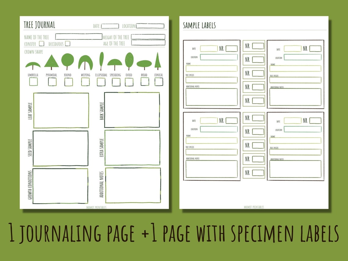 Printable Scavenger Hunt for Nature Walks Charlotte Mason Inspired ...