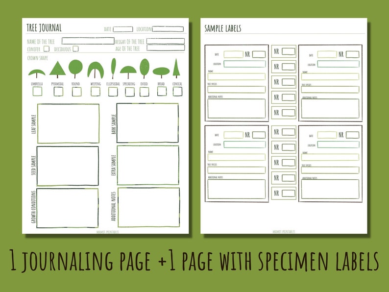 Printable Scavenger Hunt for Nature Walks Charlotte Mason Inspired ...