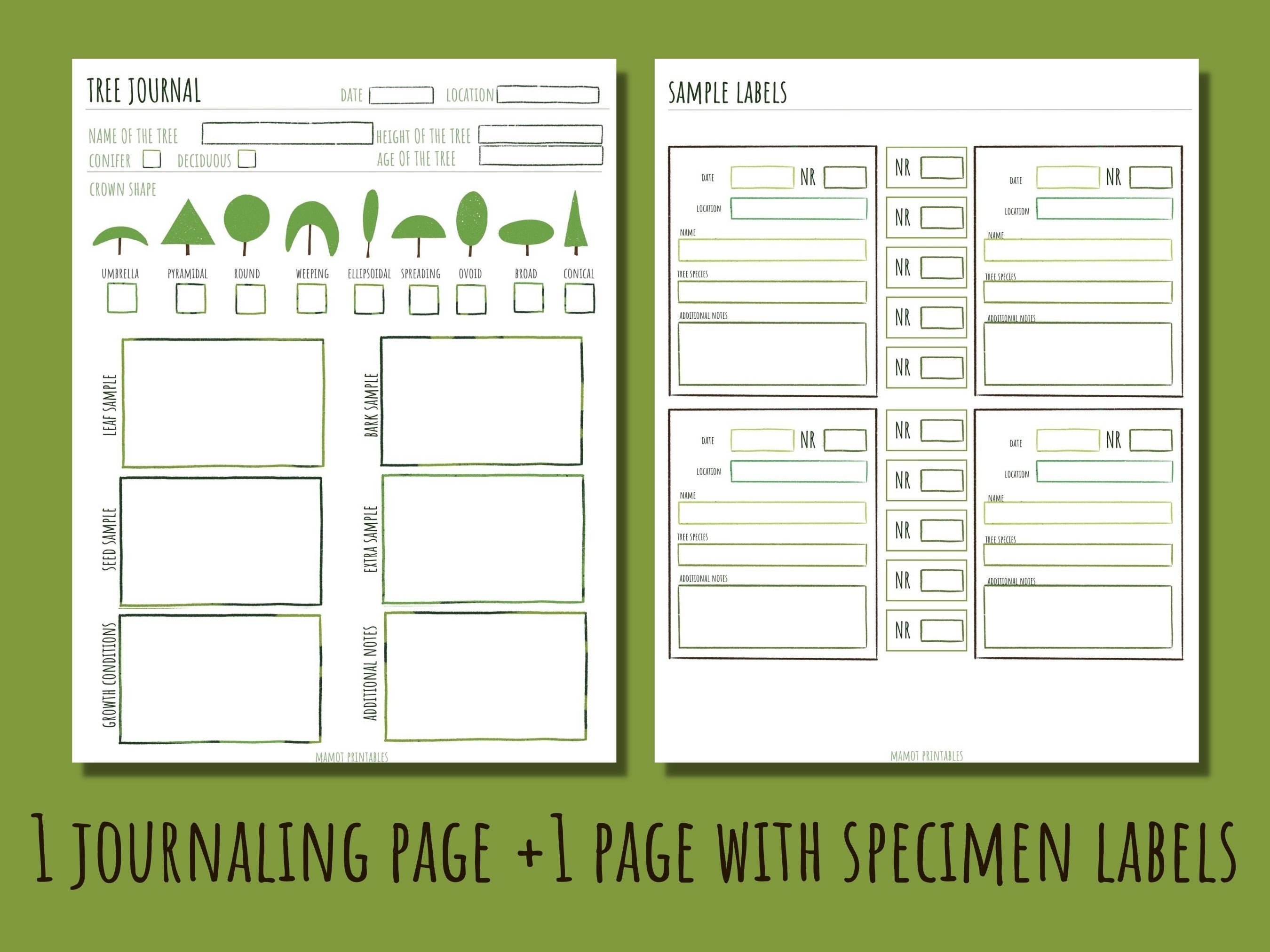 Printable Scavenger Hunt for Nature Walks Charlotte Mason Inspired ...