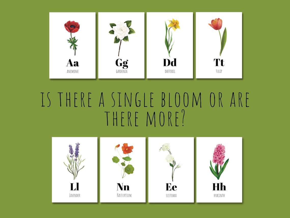 Printable Preschool Alphabet Cards, Flower Cards, Homeschool Learning ...