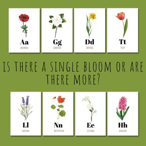 Printable Preschool Alphabet Cards, Flower Cards, Homeschool Learning ...