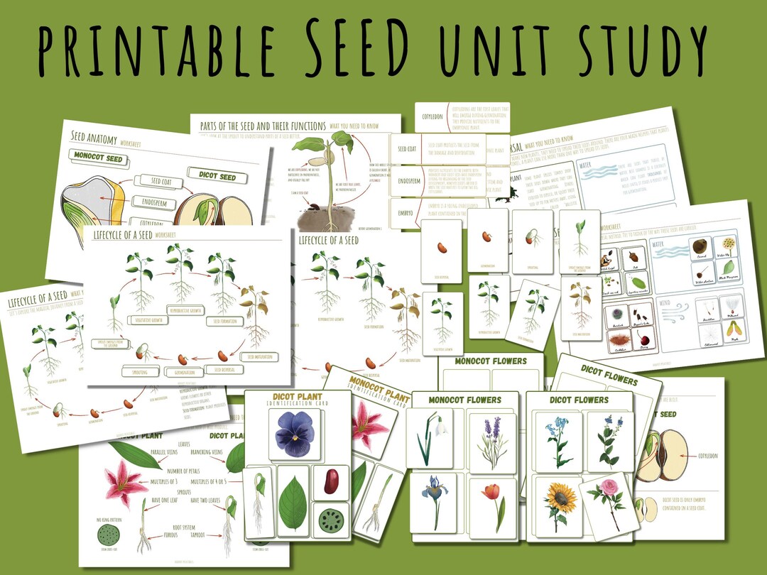 Printable Seed Unit Study, Homeschool Nature Bundle, Montessori Nature ...