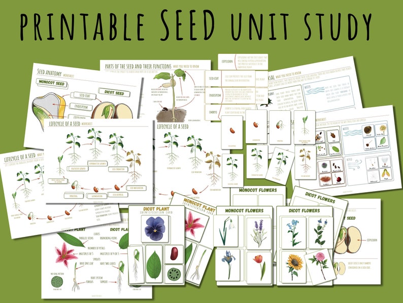 Printable Seed Unit Study, Homeschool Nature Bundle, Montessori Nature ...