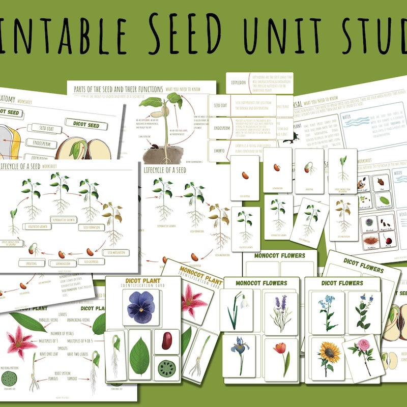Nature Study - Etsy