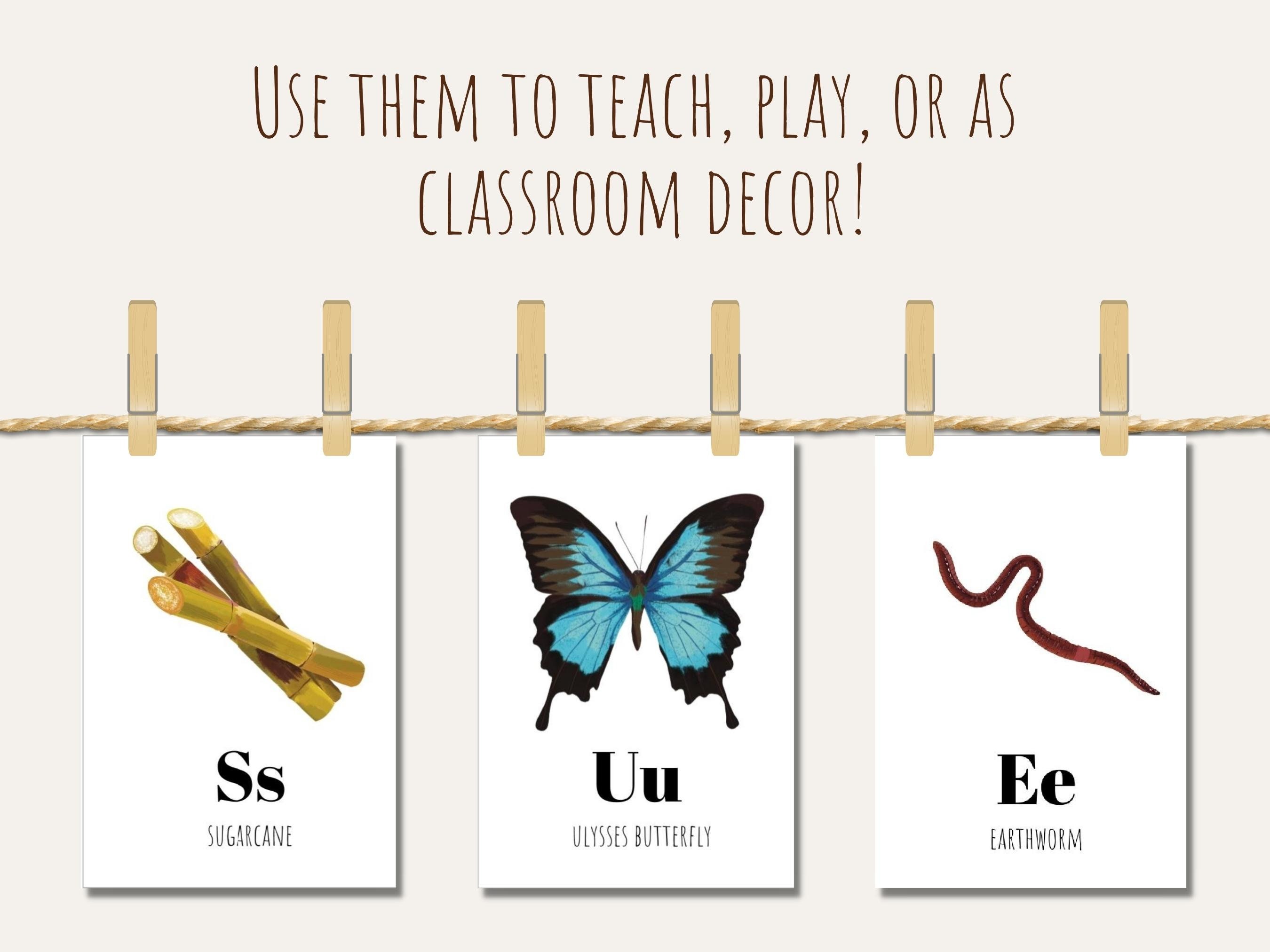 Printable Alphabet Flashcards for a Toddler Learning to Read ...