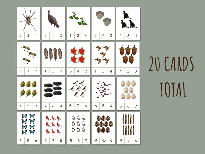 Printable Count and Clip Cards With Realistic Illustrations for a ...