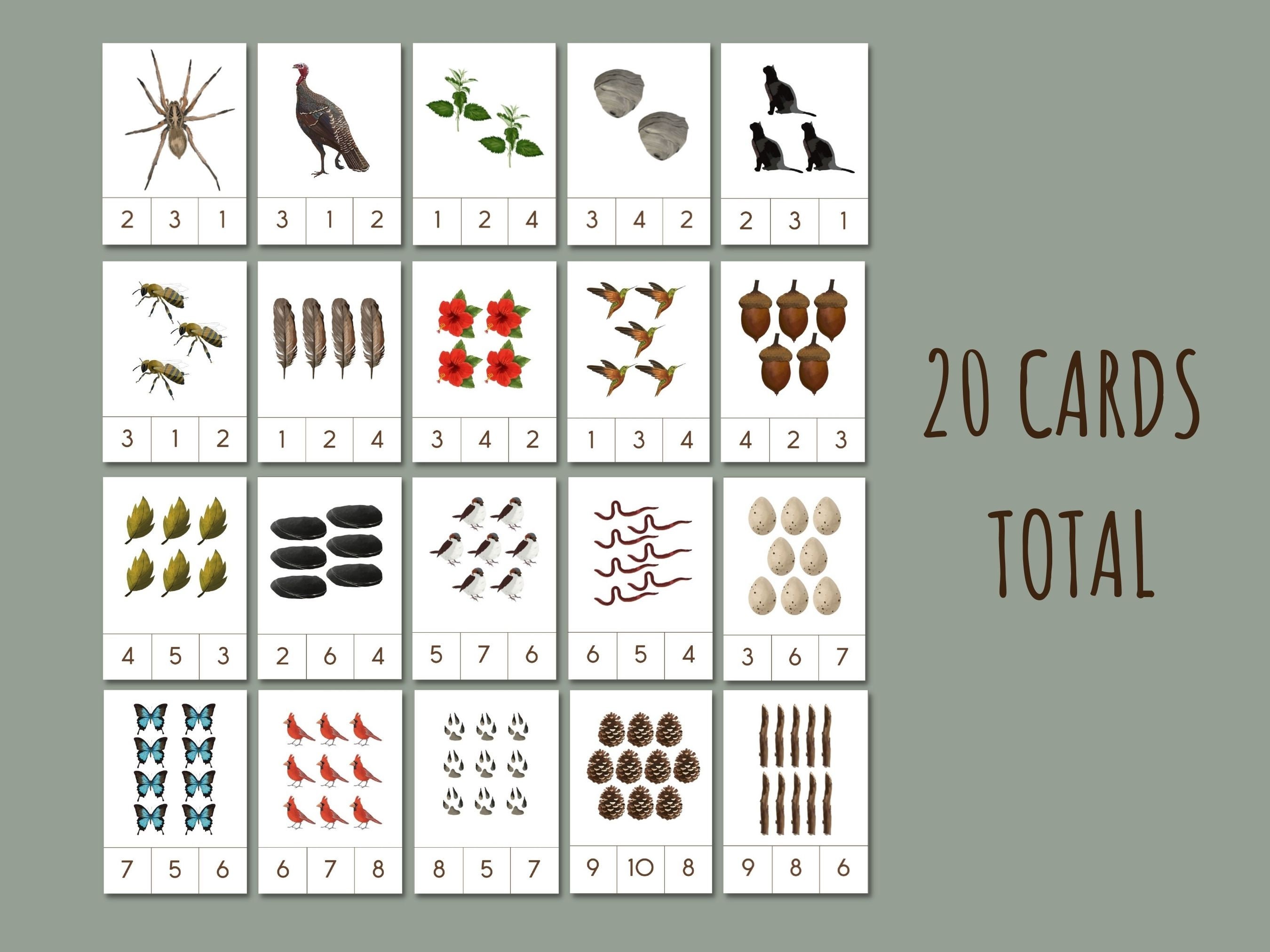 Printable Count and Clip Cards With Realistic Illustrations for a ...
