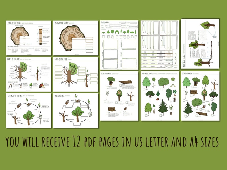 Printable Tree Study Bundle: Homeschool Nature Unit (PDF) - Etsy