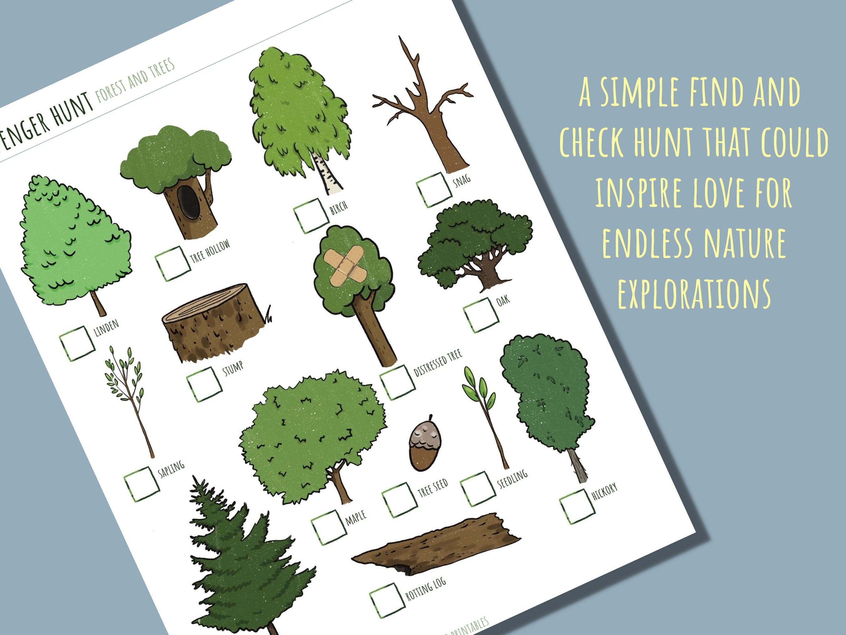 Printable Tree Scavenger Hunt Nature Activities for Toddler Learning ...
