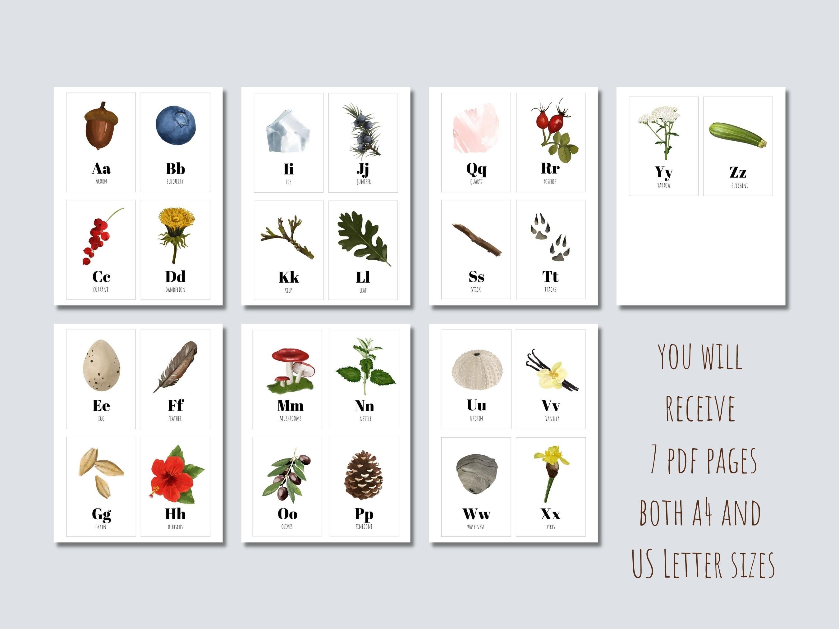 Printable Alphabet Flashcards for Toddler Learning to Read, Digital ...